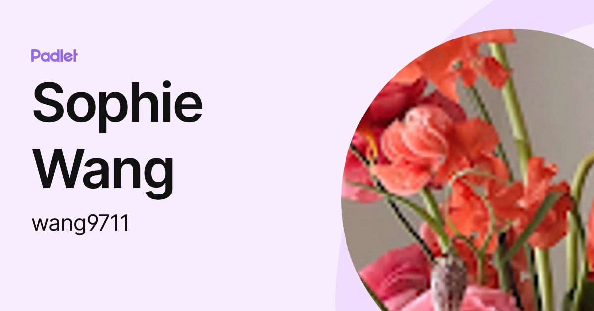 Sophie Wang (wang9711) profile | Padlet