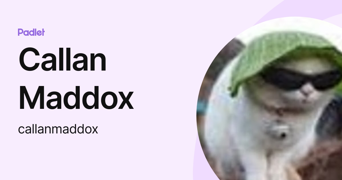 Callan Maddox (callanmaddox) profile | Padlet