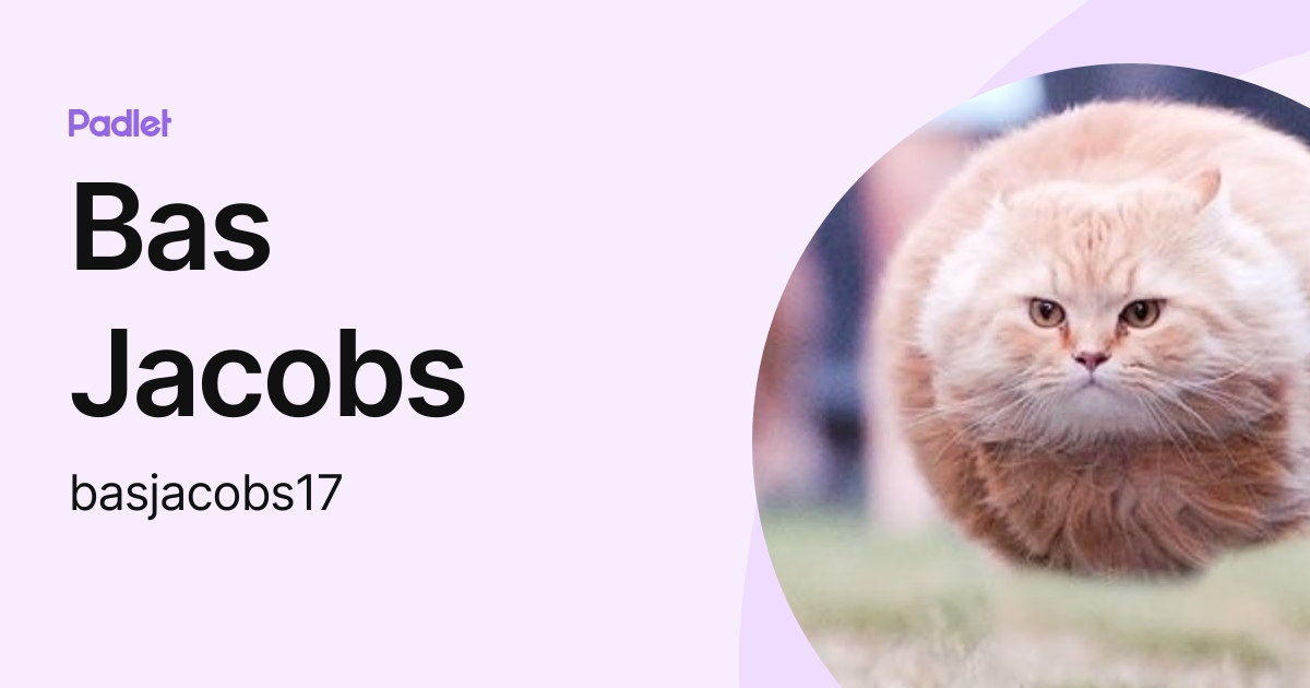 Bas Jacobs (basjacobs17) profile | Padlet