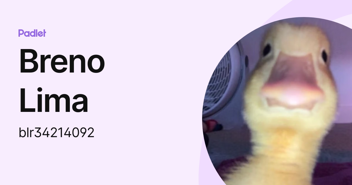 Breno Lima (blr34214092) profile | Padlet