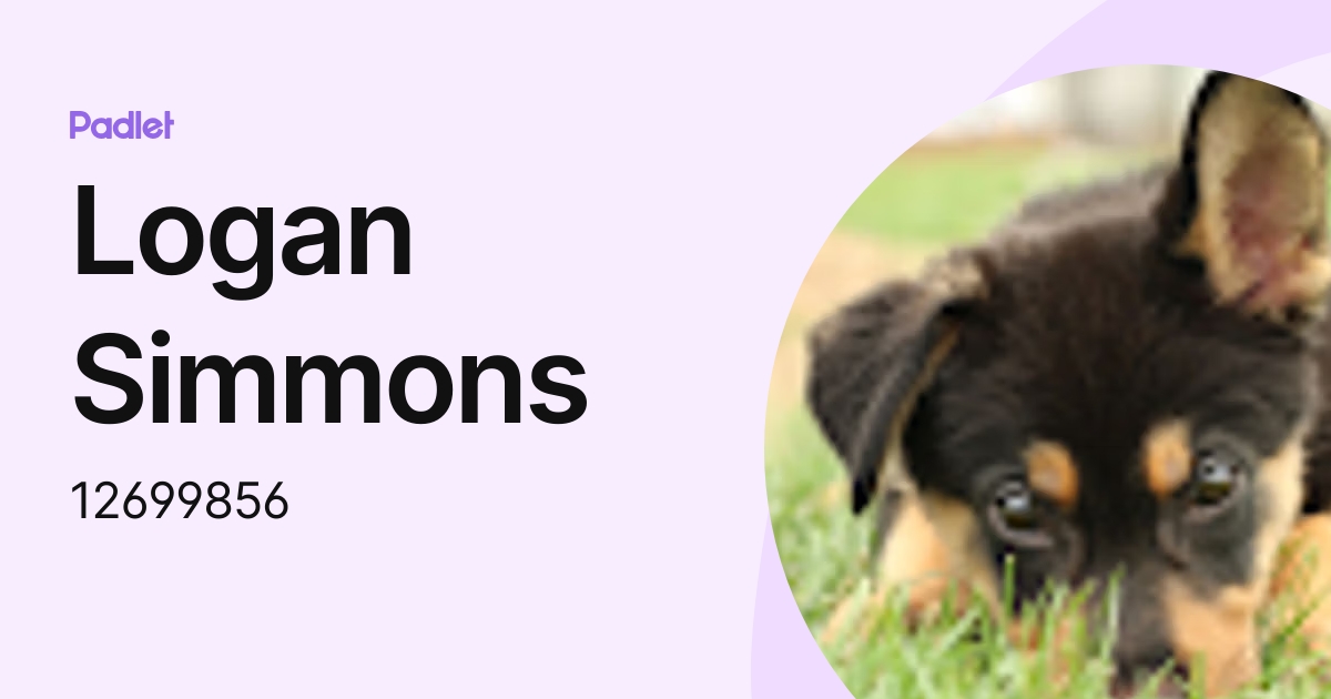 Logan Simmons (12699856) profile | Padlet