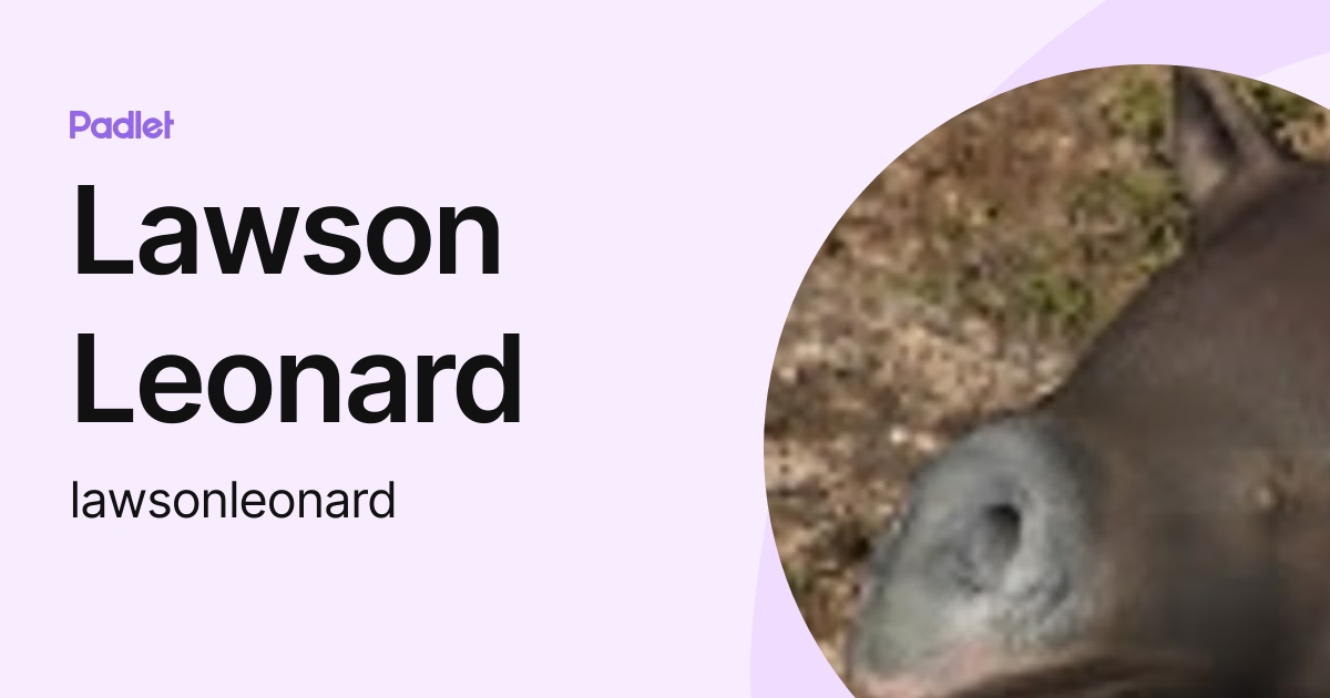 Lawson Leonard (lawsonleonard) profile | Padlet