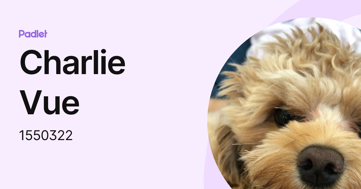 Charlie Vue (1550322) profile | Padlet