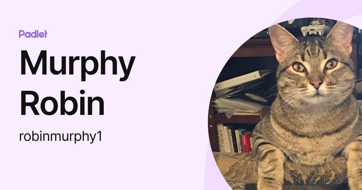 Murphy Robin (robinmurphy1) profile | Padlet