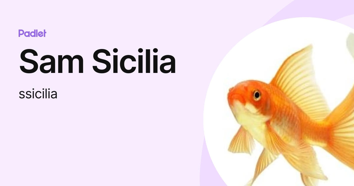 Sam Sicilia (ssicilia) profile | Padlet