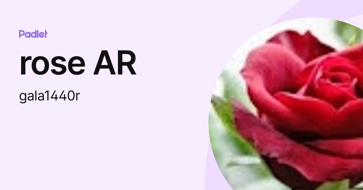 rose AR (gala1440r) profile | Padlet