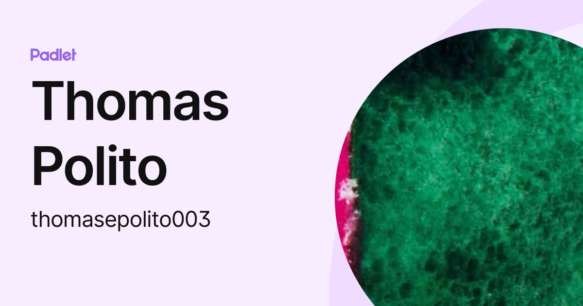 Thomas Polito (thomasepolito003) profile | Padlet