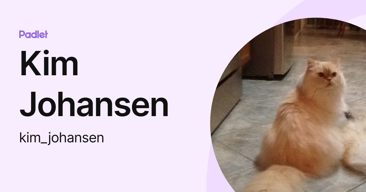 Kim Johansen (kim_johansen) profile | Padlet