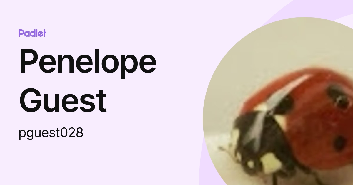 Penelope Guest (pguest028) profile | Padlet