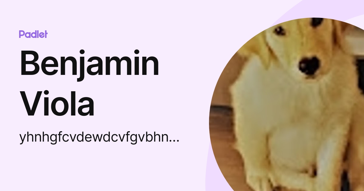 Benjamin Viola (20280932) profile | Padlet