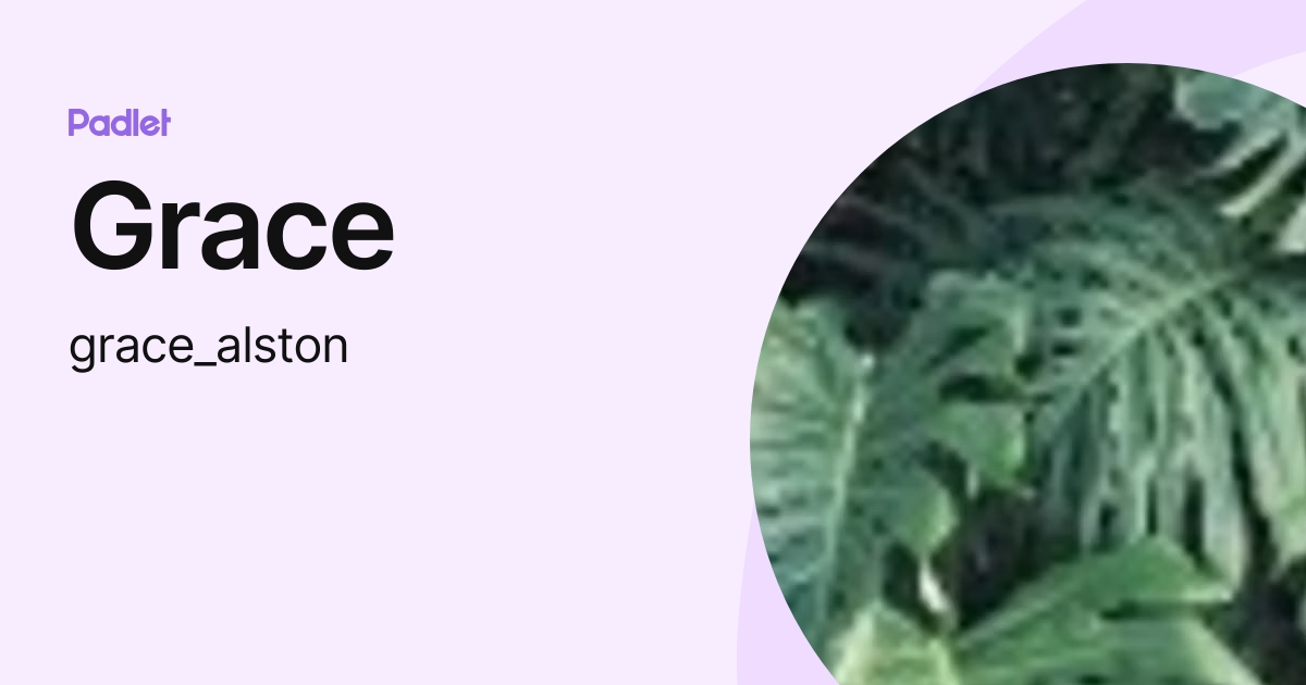 Grace (grace_alston) profile | Padlet