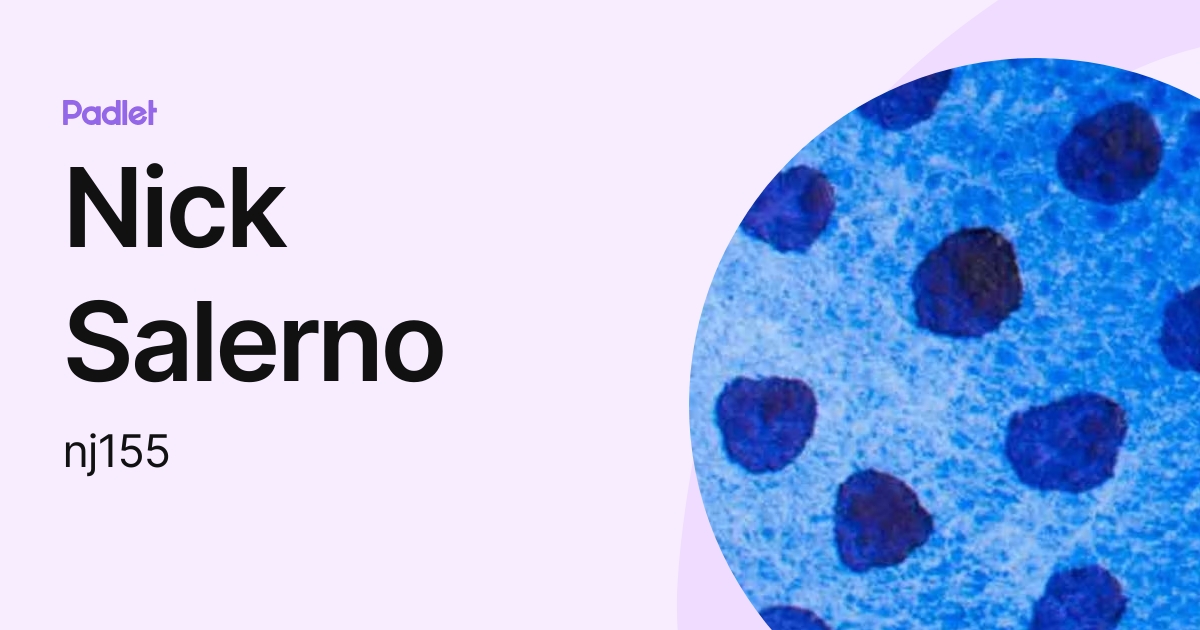 Nick Salerno (nj155) profile | Padlet