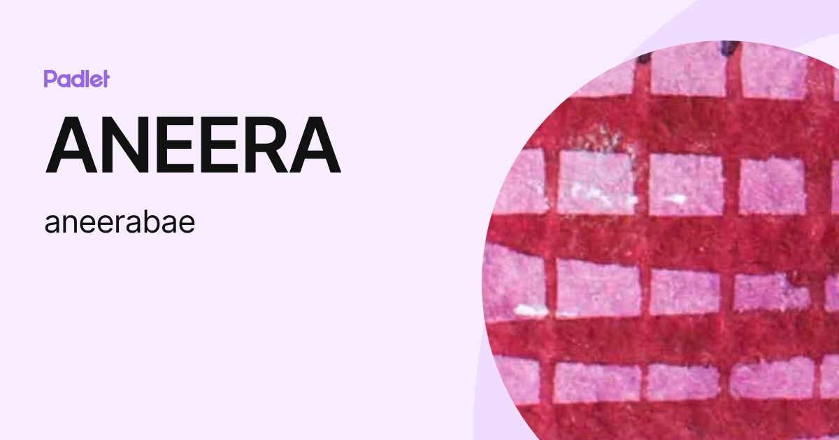 ANEERA (aneerabae) profile | Padlet