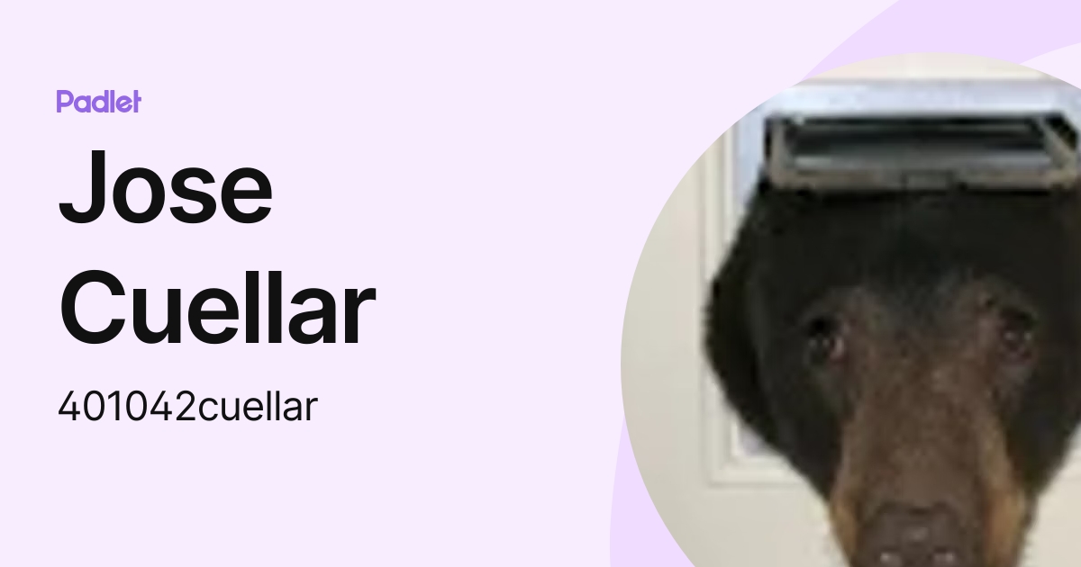 Jose Cuellar (401042cuellar) profile | Padlet