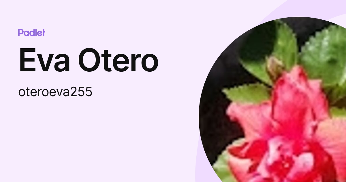 Eva Otero (oteroeva255) profile | Padlet