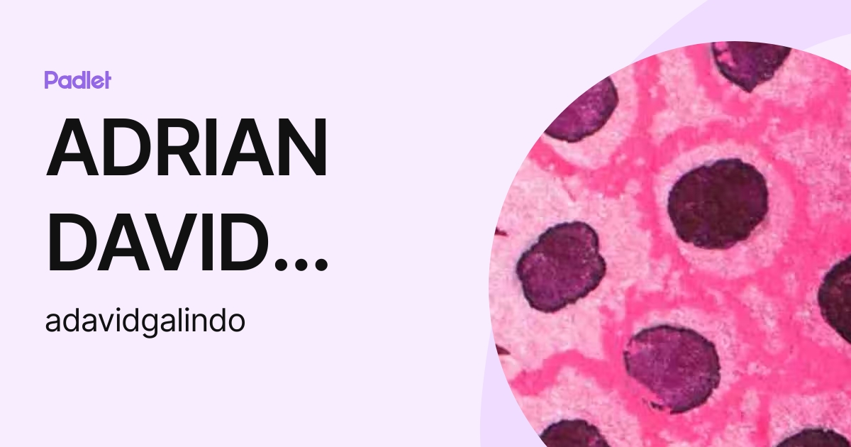 ADRIAN DAVID GALINDO UBAQUE (adavidgalindo) profile | Padlet