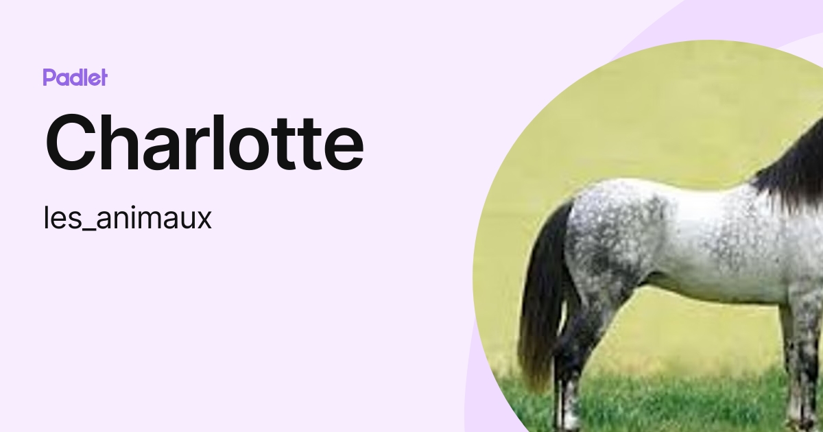 Charlotte (les_animaux) profile | Padlet