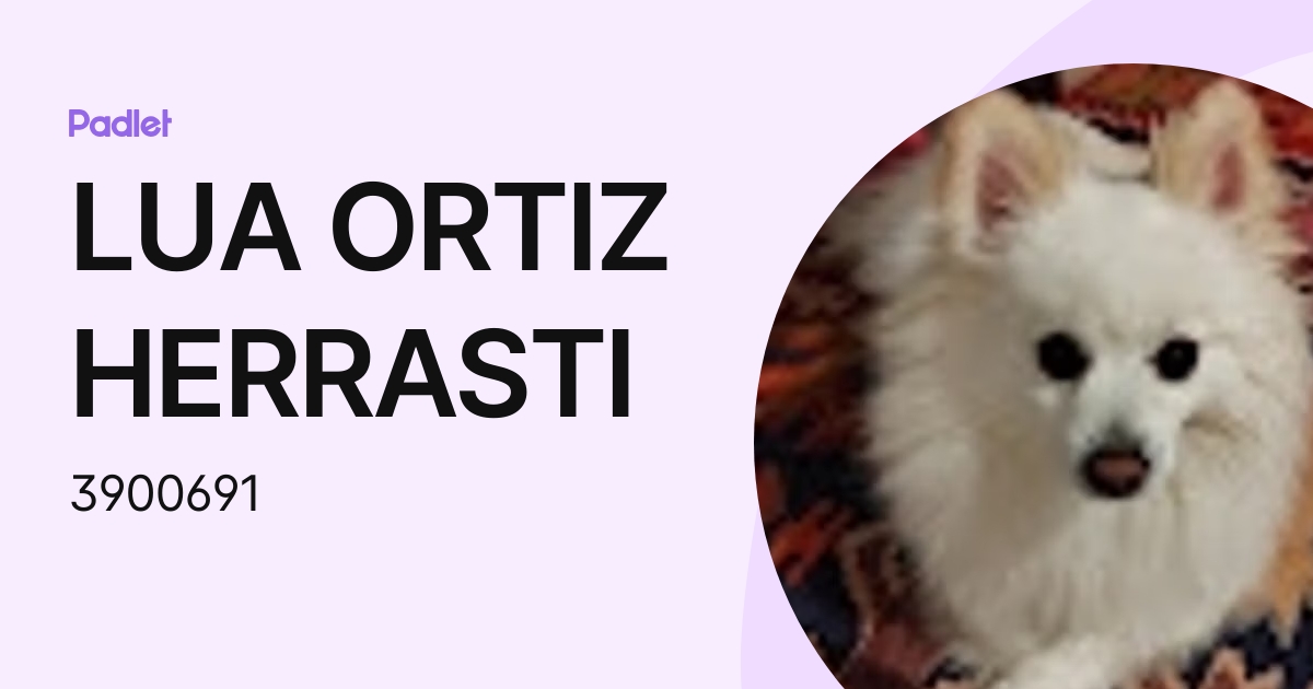 LUA ORTIZ HERRASTI (3900691) profile | Padlet
