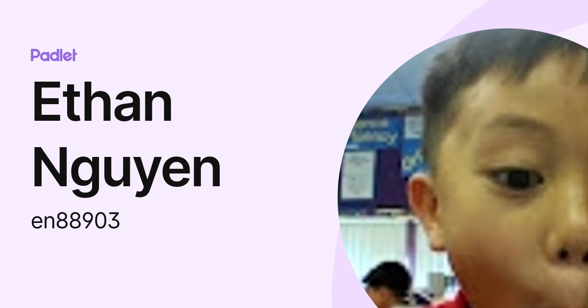 Ethan Nguyen (en88903) profile | Padlet
