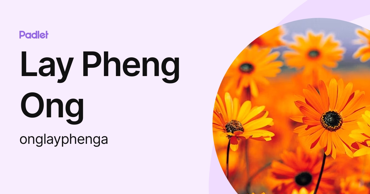 Lay Pheng Ong (onglayphenga) profile | Padlet