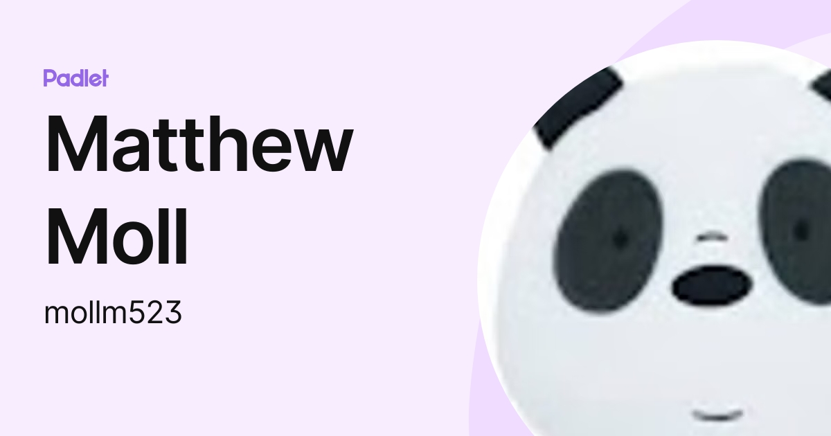 Matthew Moll (mollm523) profile | Padlet