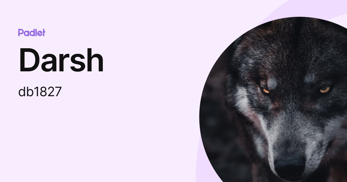 Darsh (db1827) profile | Padlet