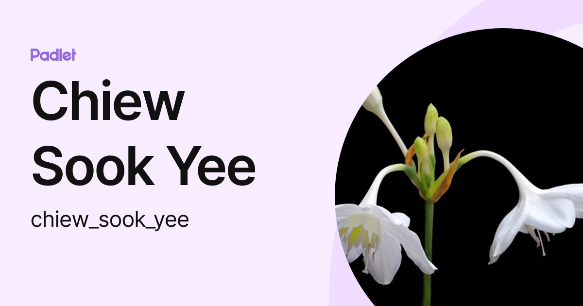 Chiew Sook Yee (chiew_sook_yee) profile | Padlet