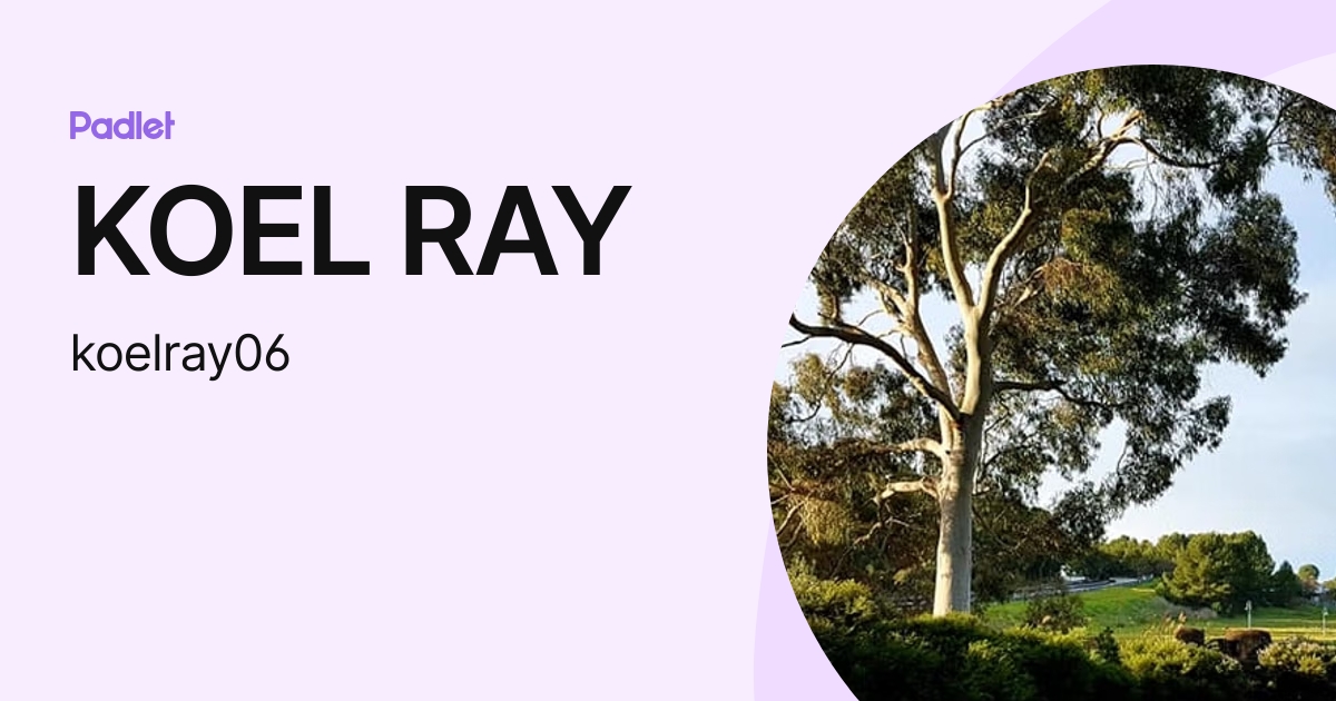 KOEL RAY (koelray06) profile | Padlet