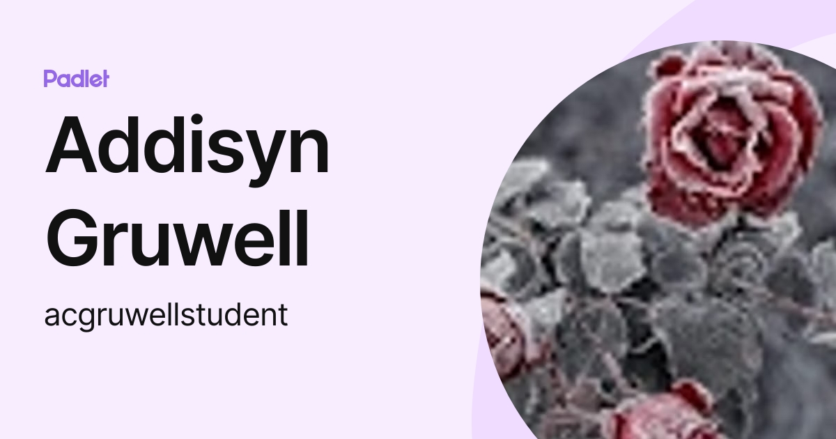 Addisyn Gruwell (acgruwellstudent) profile | Padlet