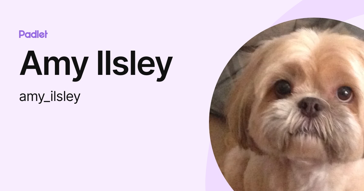 Amy Ilsley (amy_ilsley) profile | Padlet