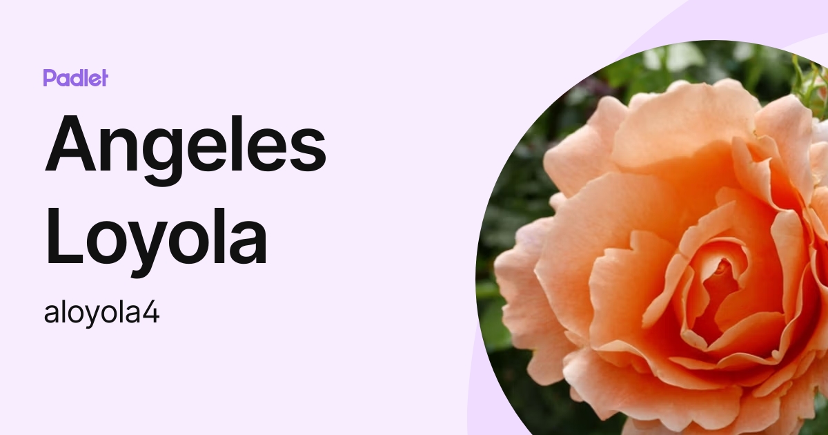 Angeles Loyola (aloyola4) profile | Padlet