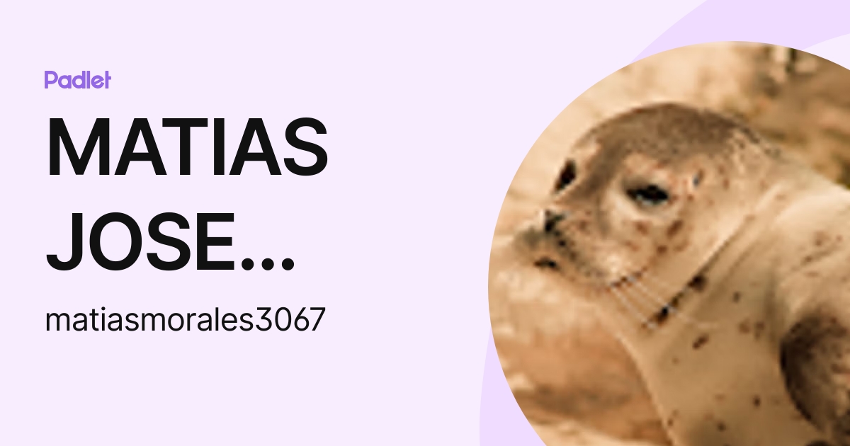 MATIAS JOSE MORALES LOPEZ (matiasmorales3067) profile | Padlet