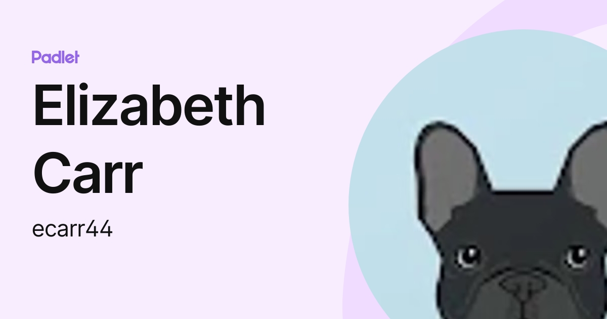 Elizabeth Carr (ecarr44) profile | Padlet