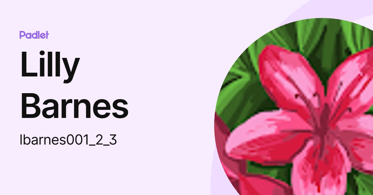 Lilly Barnes (lbarnes001) profile | Padlet