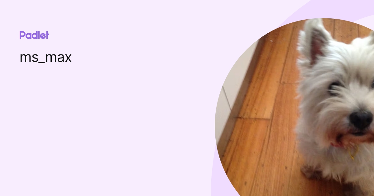 ms_max profile | Padlet