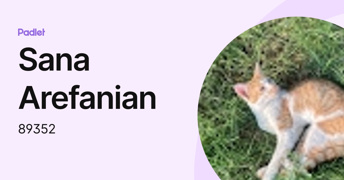 Sana Arefanian (89352) profile | Padlet