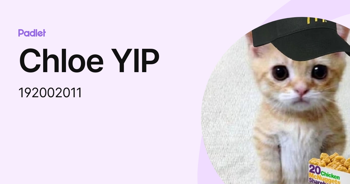 Chloe YIP (192002011) profile | Padlet