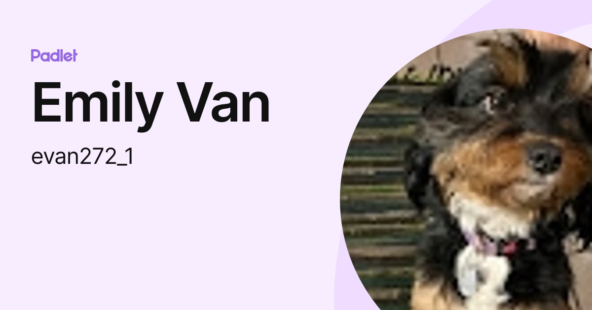 Emily Van (evan271) profile | Padlet
