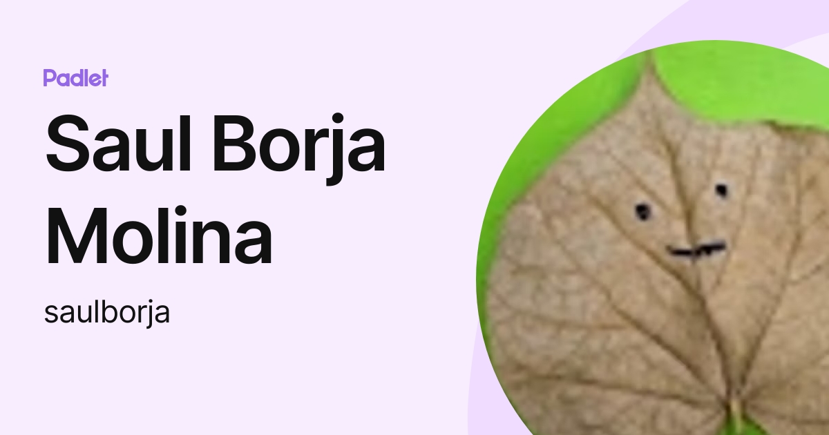 Saul Borja Molina (saulborja) profile | Padlet