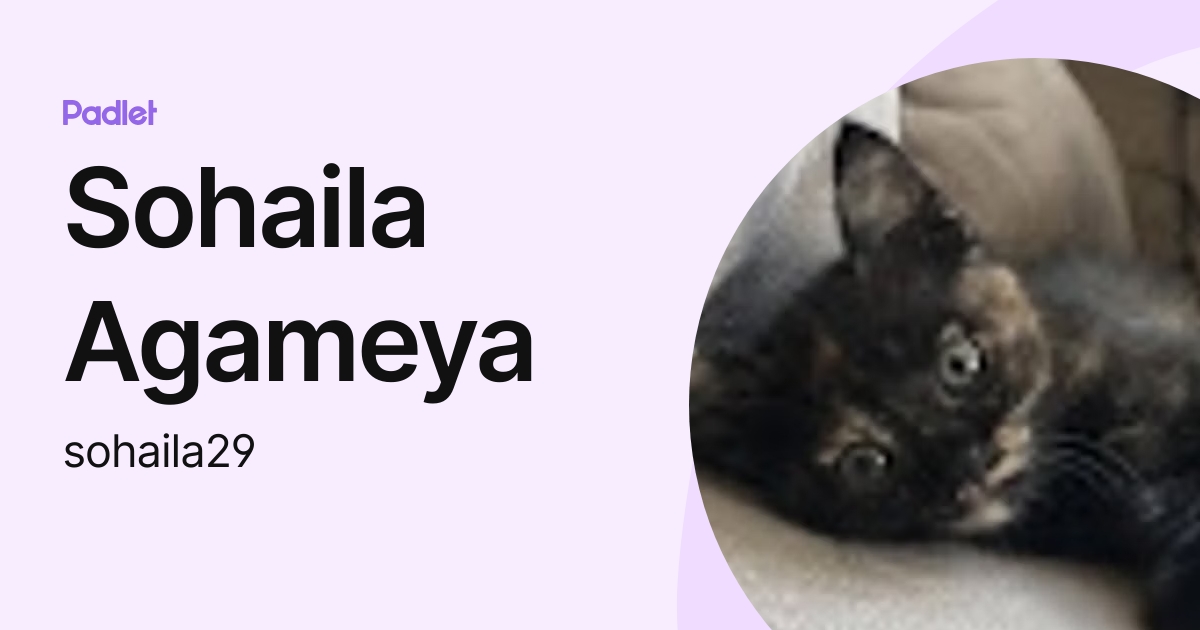 Sohaila Agameya (sohaila29) profile | Padlet