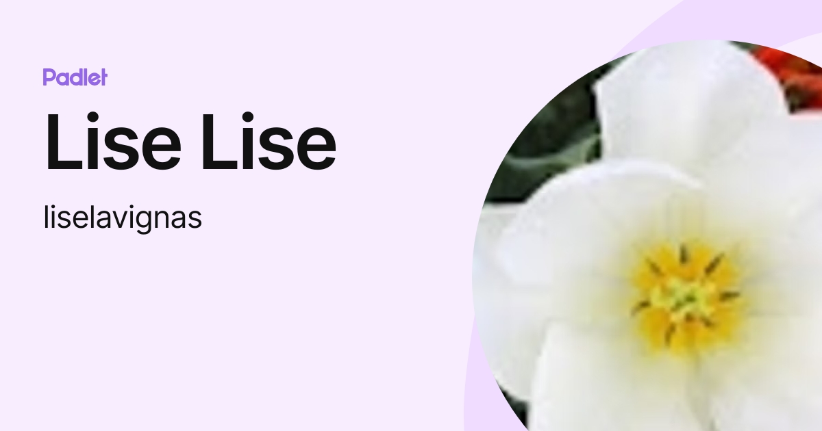 Lise Lise (liselavignas) profile | Padlet