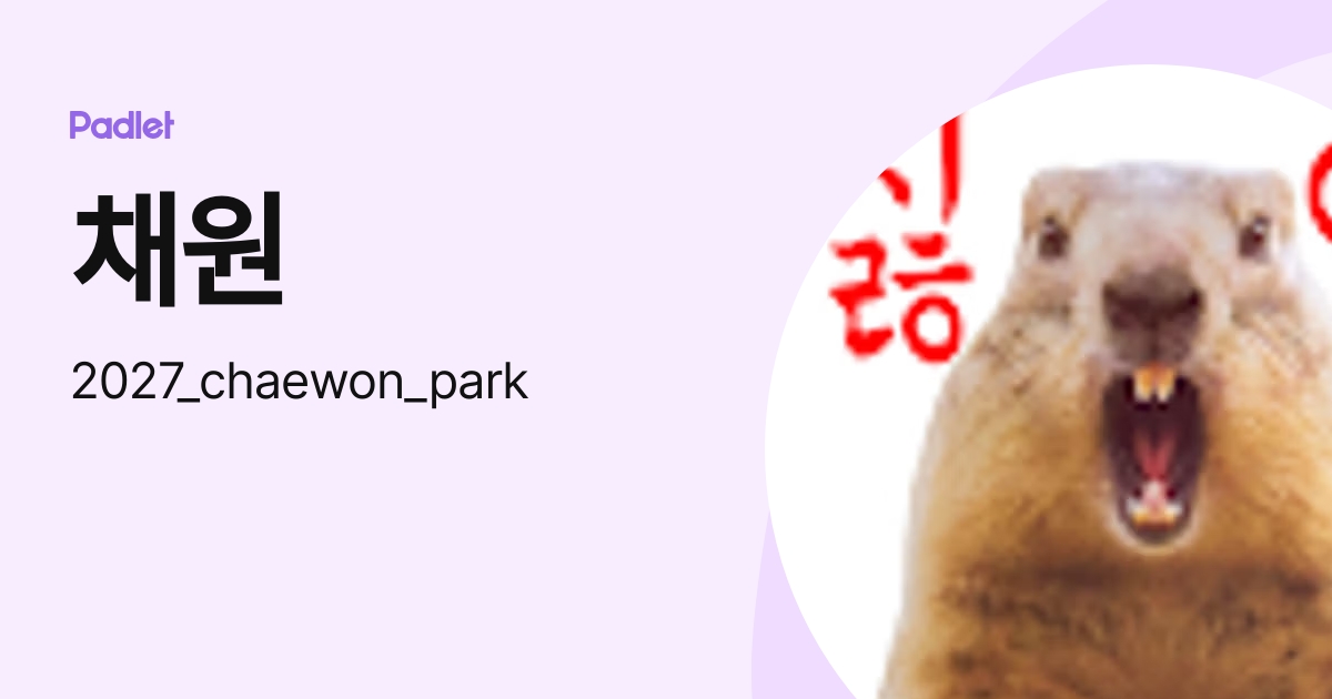 채원 (2027_chaewon_park) profile | Padlet
