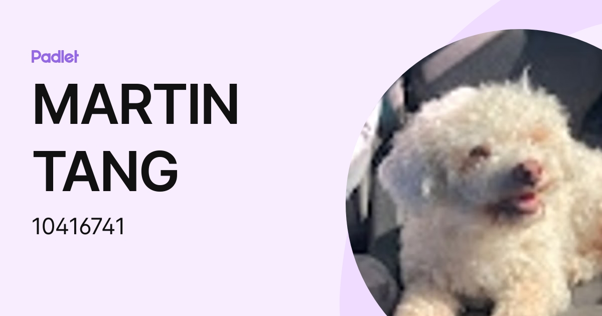 MARTIN TANG (10416741) profile | Padlet