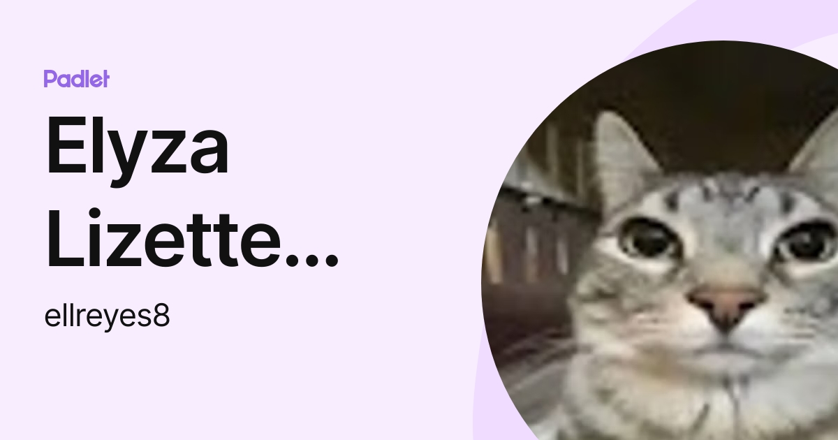 Elyza Lizette Reyes (ellreyes1) profile | Padlet