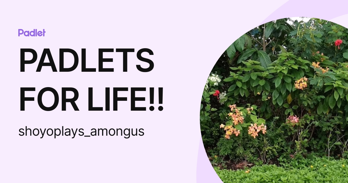 PADLETS FOR LIFE!! (shoyoplays_amongus) profile | Padlet