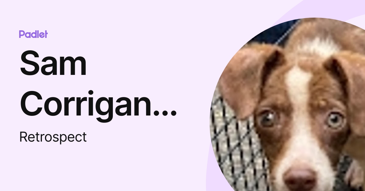 Sam Corrigan-Halpern (Retrospect) profile | Padlet