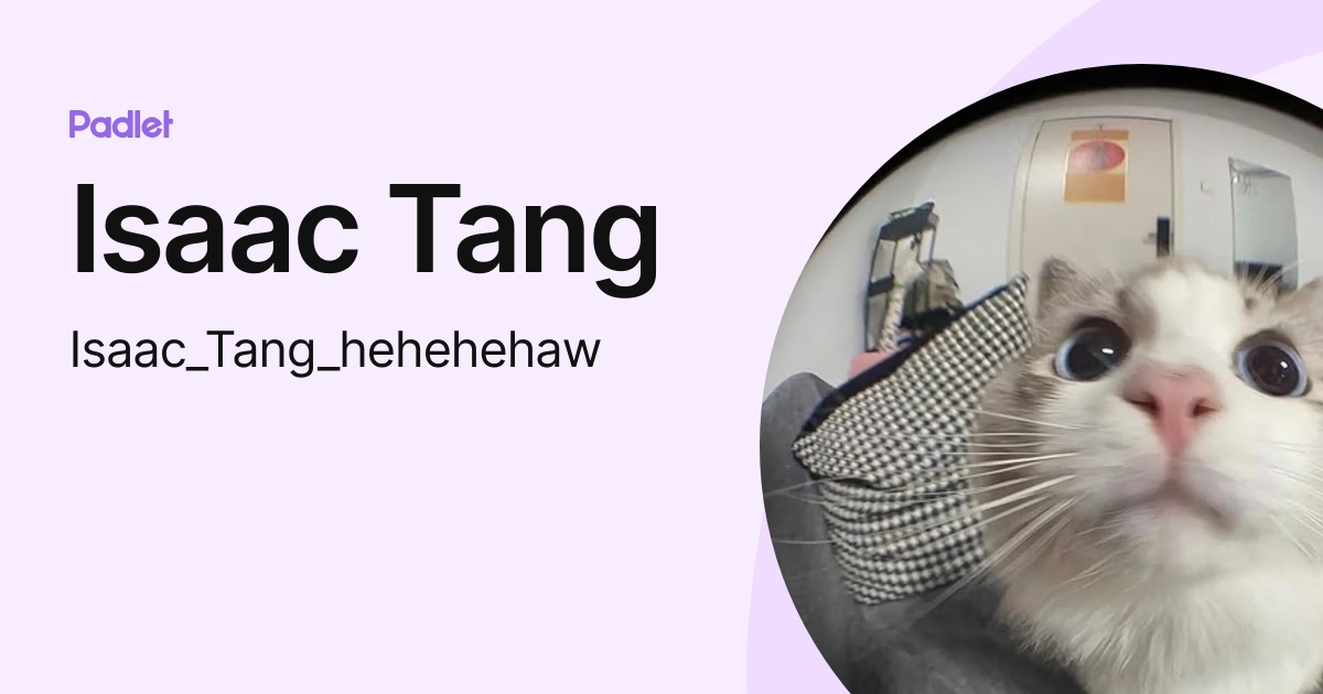 Isaac Tang (Isaac_Tang_hehehehaw) profile | Padlet