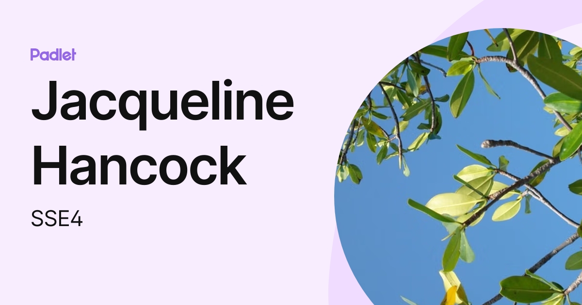 Jacqueline Hancock (SSE4) profile | Padlet