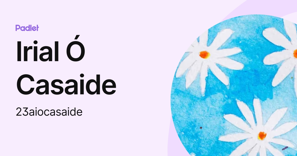 Irial Ó Casaide (23aiocasaide) profile | Padlet