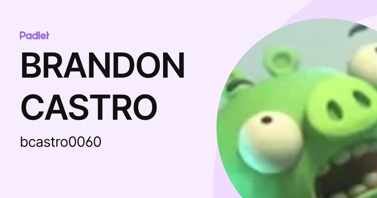 BRANDON CASTRO (bcastro0060) profile | Padlet